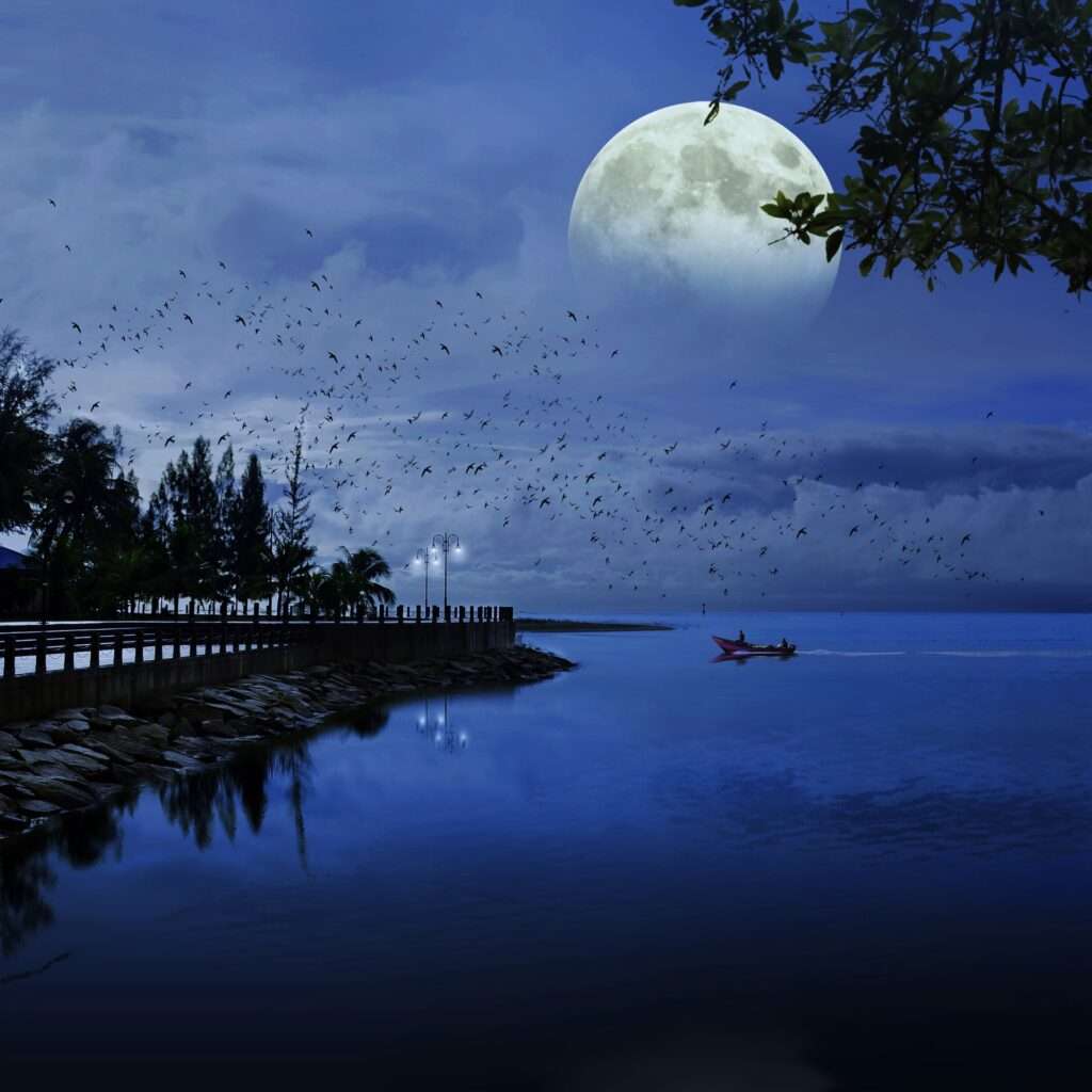The Super Full Moon In Taurus Sally Kirkman Astrologer The Super Full Moon In Taurus Sally Kirkman Astrologer